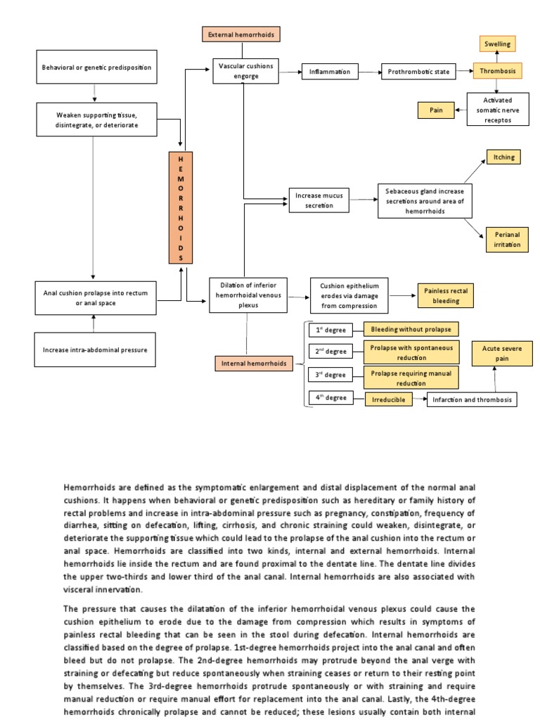 Pathophysiology of Hemorrhoids | PDF | Hemorrhoid | Digestive Diseases