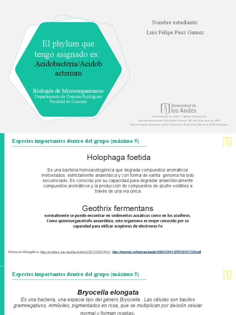 Acidobacterium | PDF | Las bacterias | Ecología