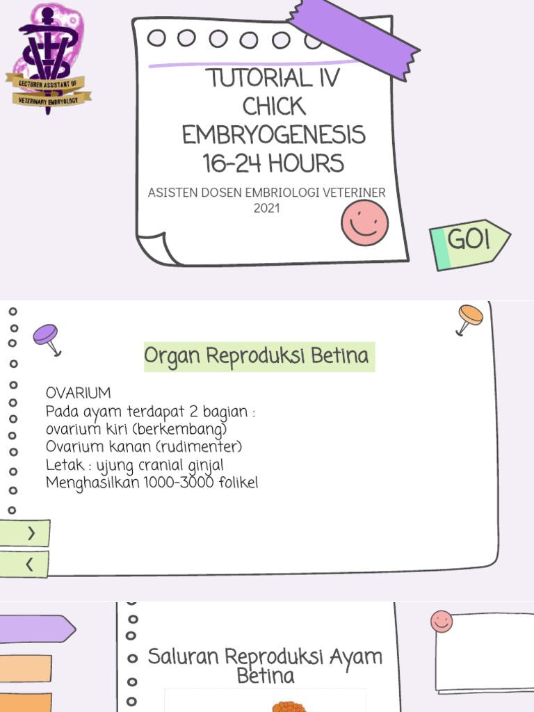 Tutorial Chick Embryogenesis 1 2021 | PDF | Kajian Bahasa Asing ...