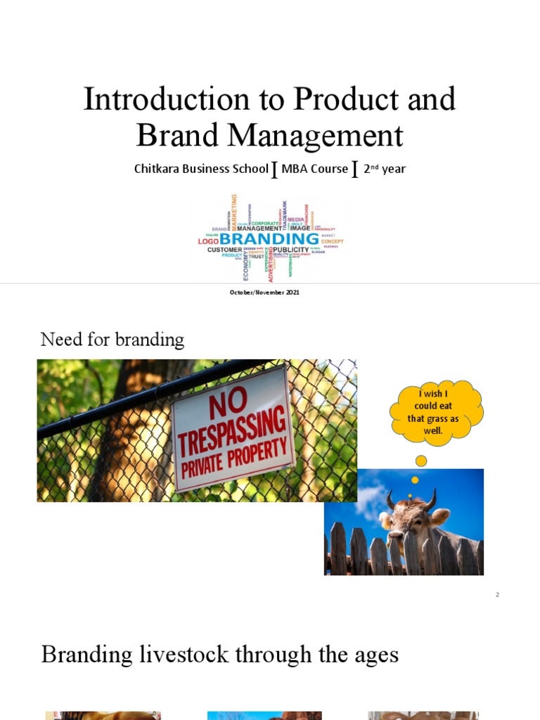 Product and Brand Management Insights | PDF | Brand | Apple Inc.