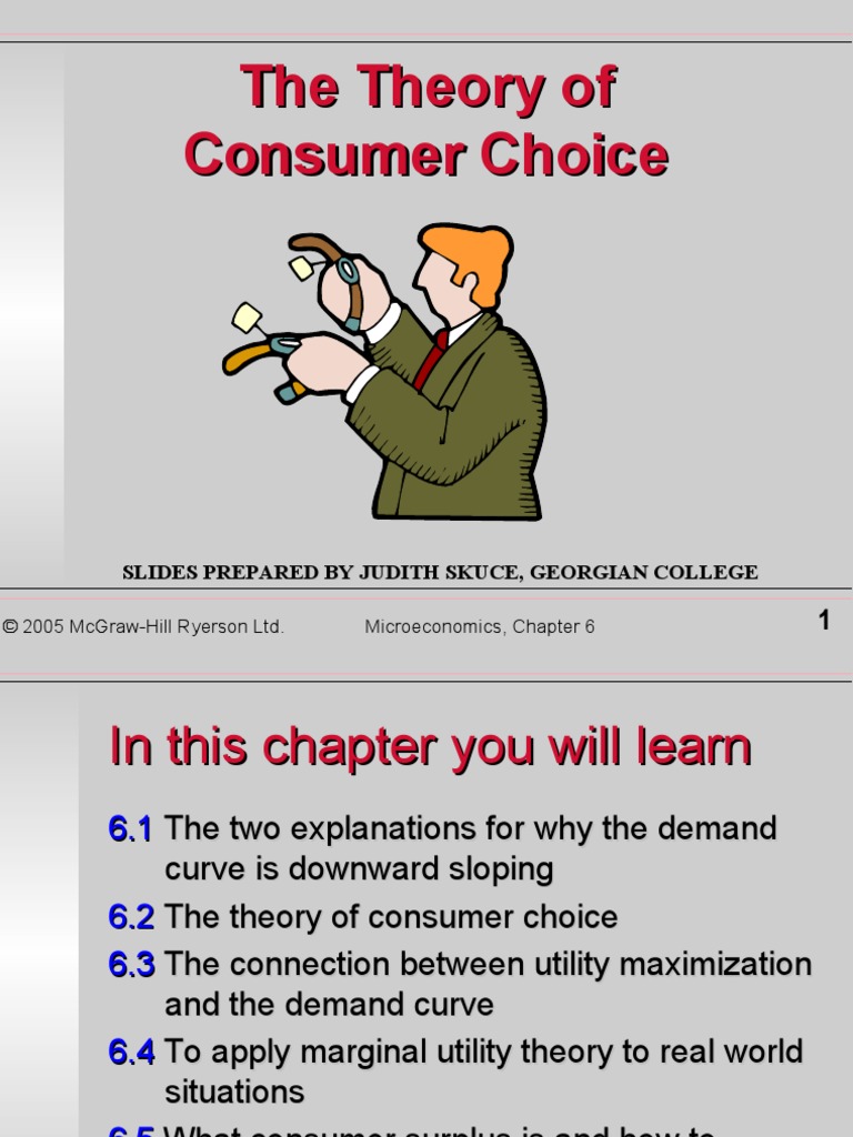 The Theory of Consumer Choice | PDF | Microeconomics | Economic Surplus