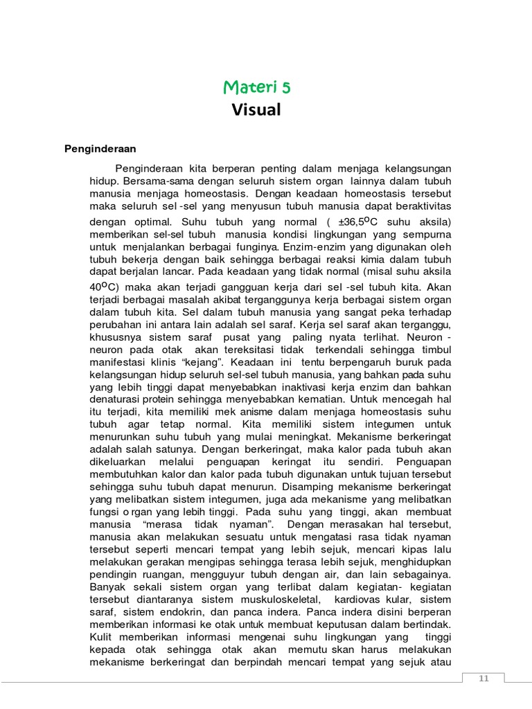 Fotoreseptor dan Sistem Visual Manusia | PDF | Pengembangan Diri