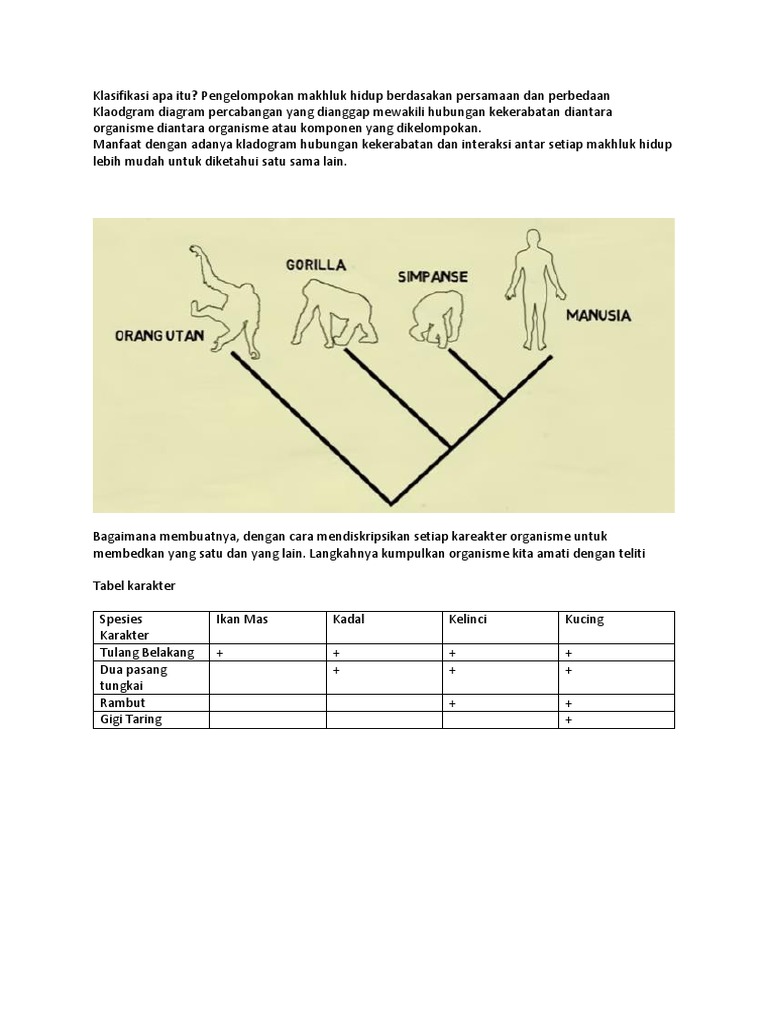 Kladogram: Pengertian dan Contoh Sederhana | PDF
