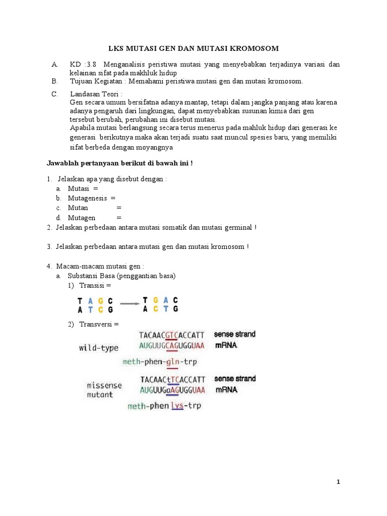 LKS MUTASI GEN DAN KROMOSOM Utk Tugas | PDF