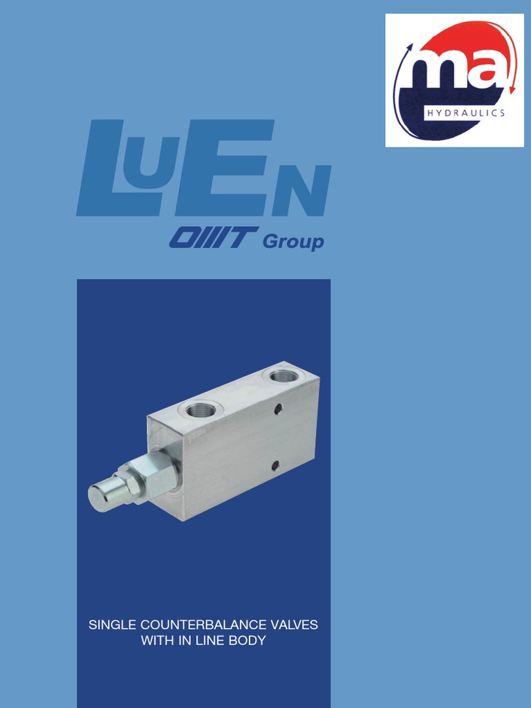 Bloco-Cilindro grua-L1-LUEN-SINGLE-OVERCENTRE-VALVES - 001 | PDF ...