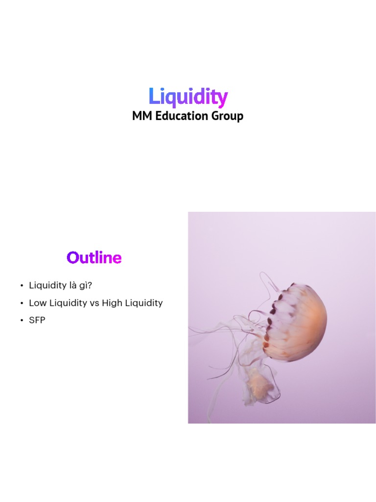 Liquidity | PDF