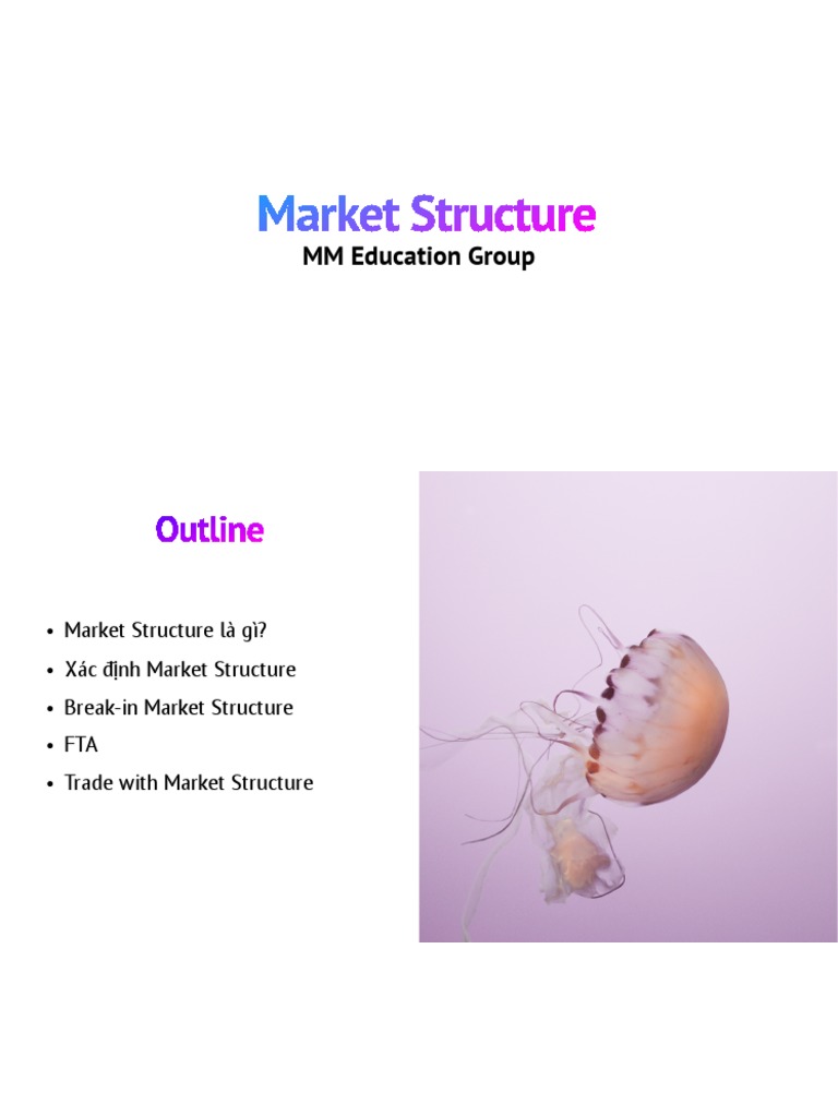 Market Structure | PDF