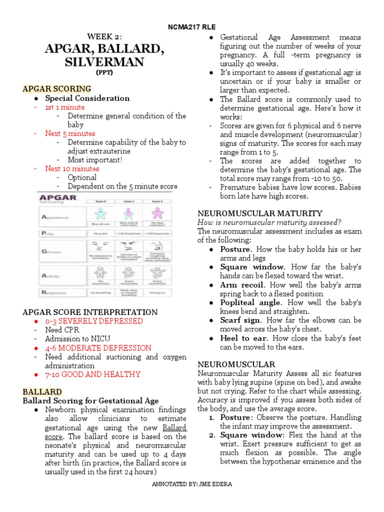 Ncma217 - Day 3-Apgar-Ballard-Silverman | PDF | Anatomical Terms Of ...