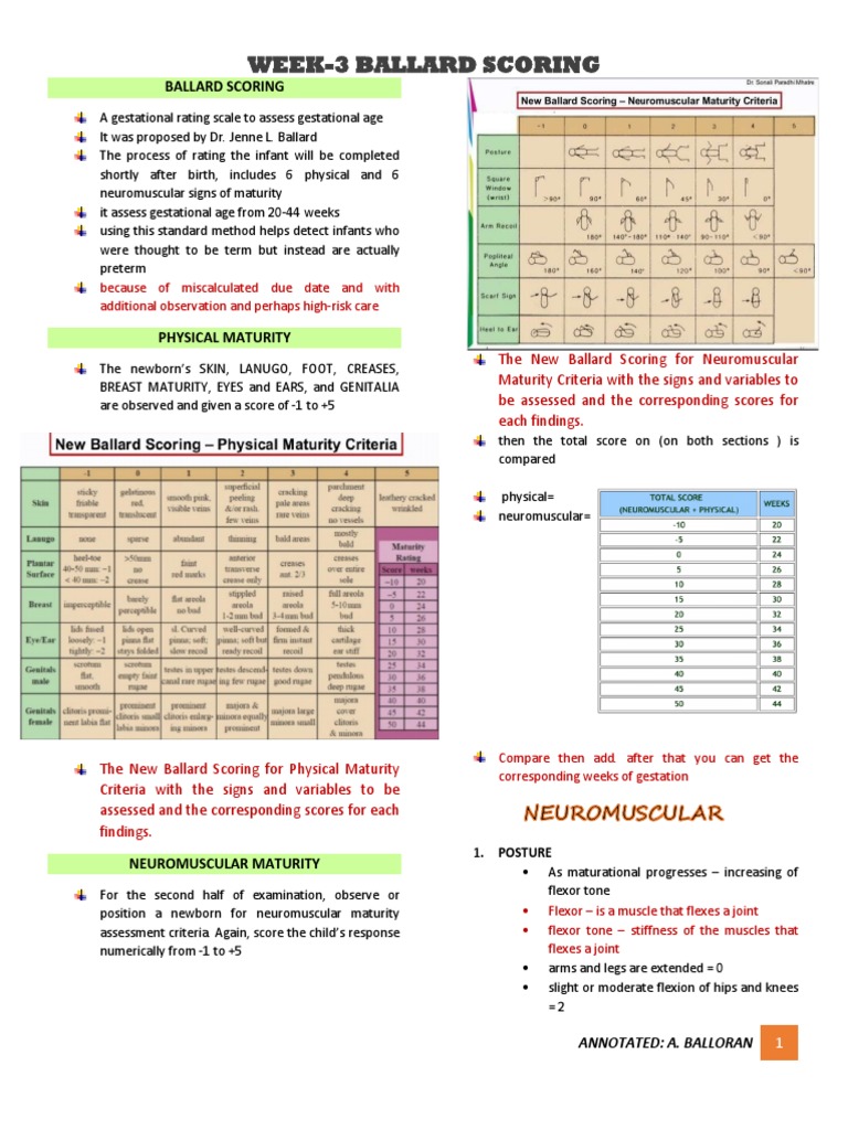 Ncma217-Day 4 - Ballard Scoring | PDF | Anatomical Terms Of Motion ...