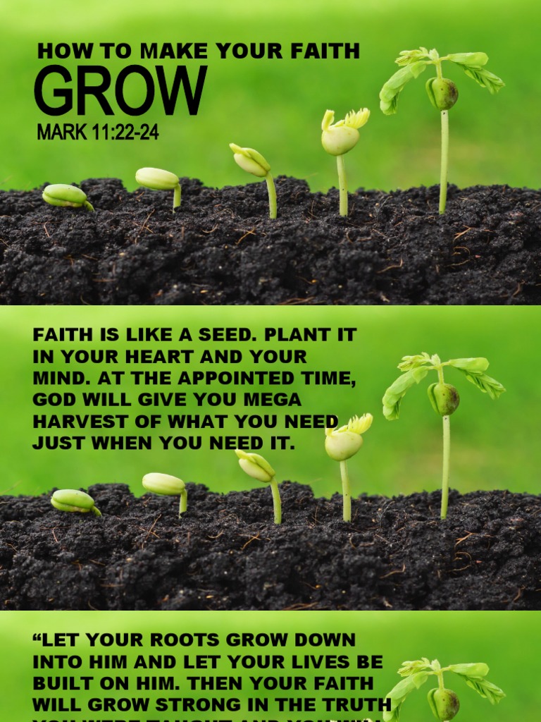 How To Make Your Faith Grow | PDF | Faith | God