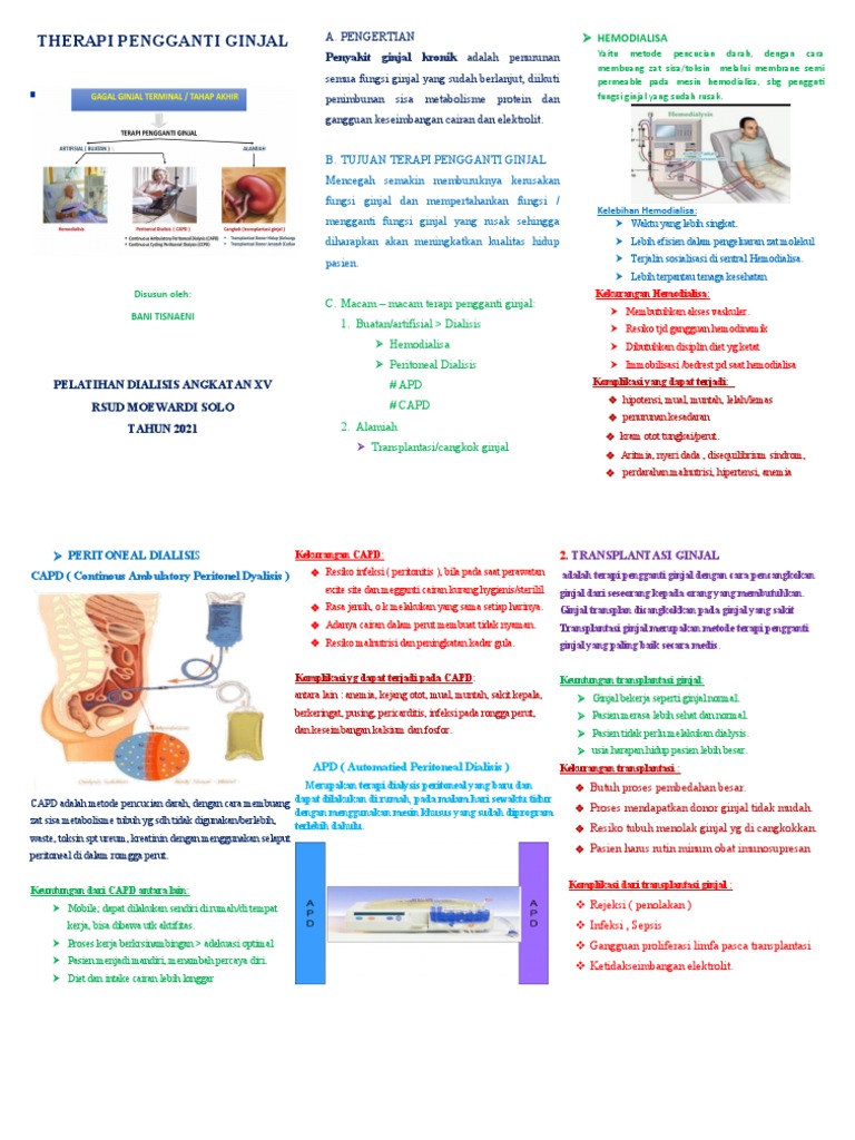 BANI-Leaflet Terapi P Ginjal | PDF