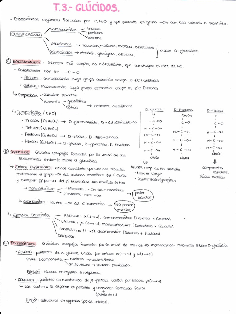 Esquemas Completos Bio | PDF