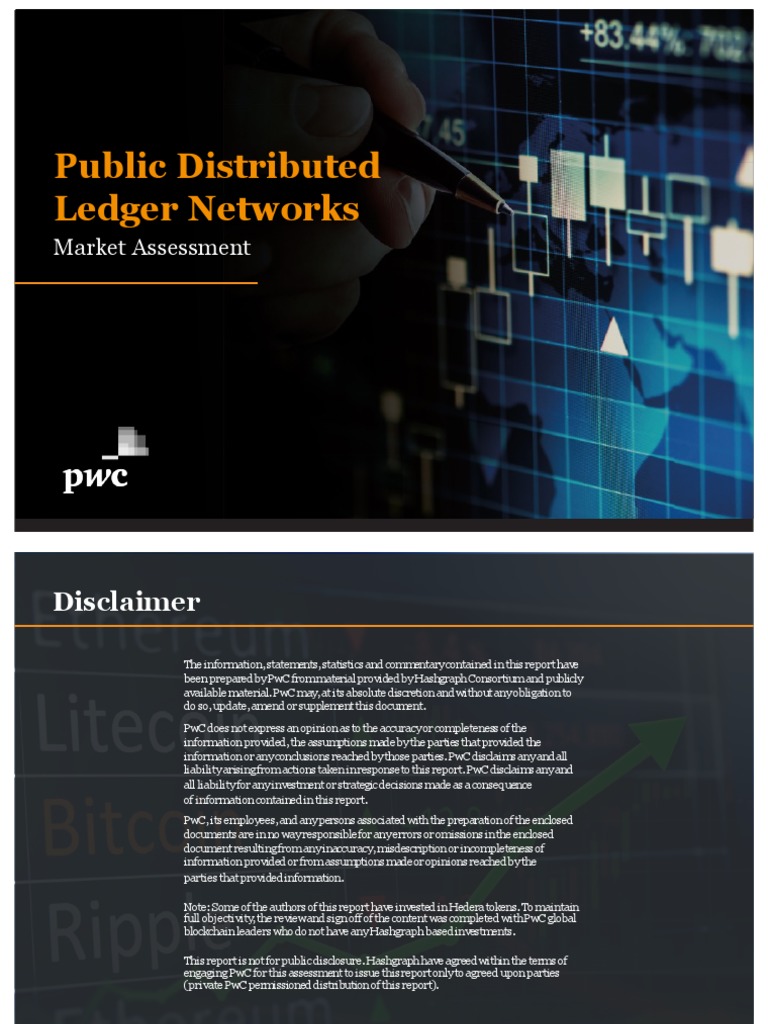 Public Distributed Ledger Networks: Market Assessment | PDF | Cryptocurrency | Distributed Computing