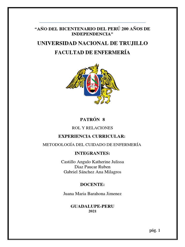 Informe Del Patrón 8 Rol - Relaciones | PDF | Violencia | Familia