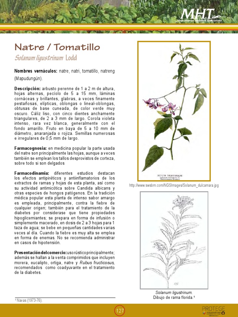 Natre | PDF | Plantas | Botánica