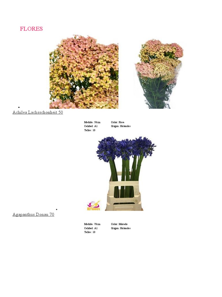 Flores | PDF | Horticultura y jardinería | Botánica