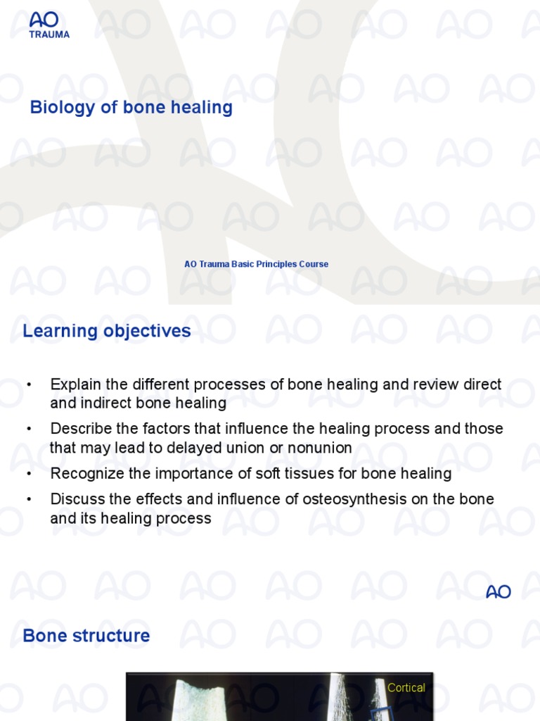 1.1 Biology of Bone Healing | Download Free PDF | Bone | Healing