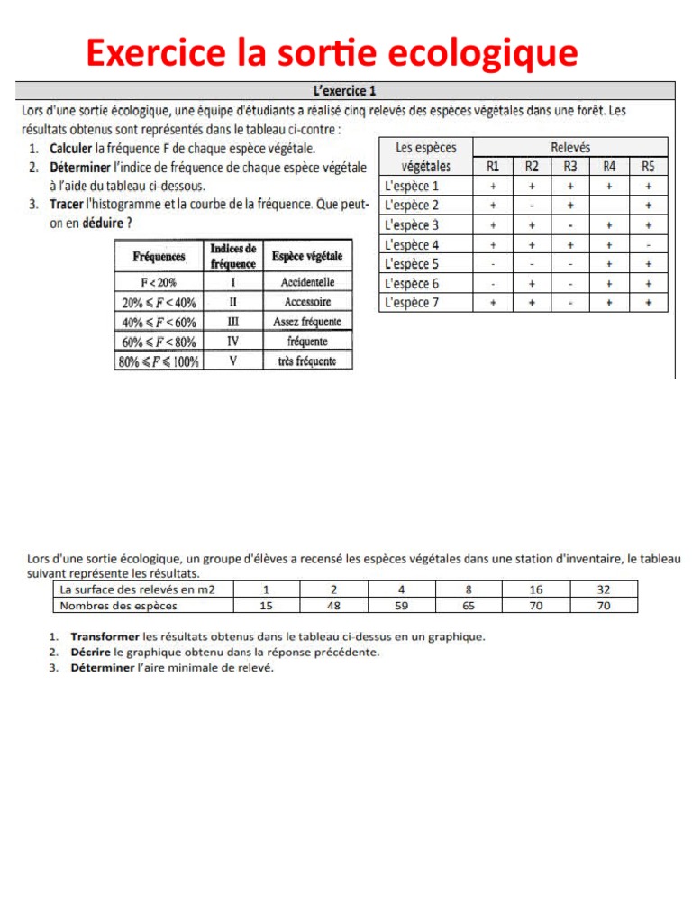 Exercice La Sortie Ecologique | PDF