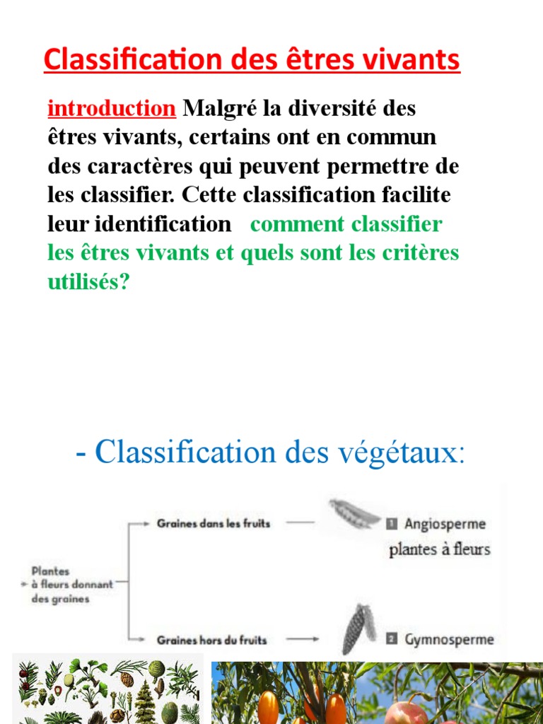 Classification | PDF