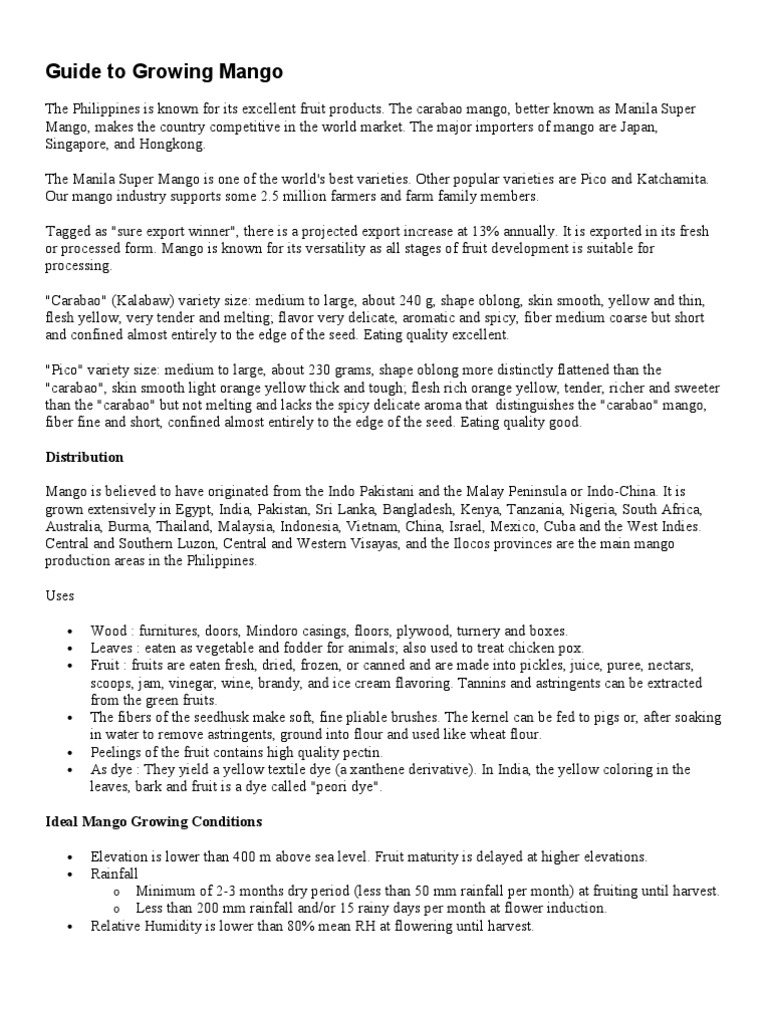 Guide To Growing Mango | PDF | Plant Nursery | Grafting