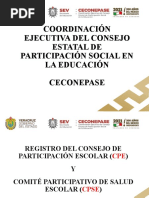 Esquema Comite Participativo de Salud Escolar | PDF