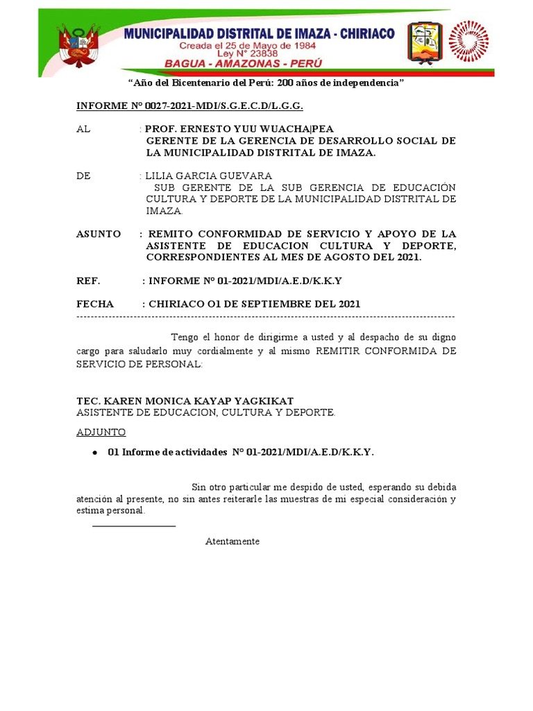 Informe de Asistente | PDF