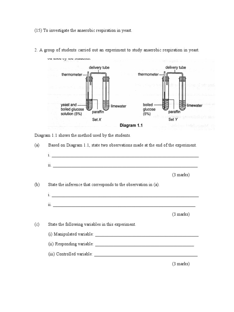 Anaerobic Respiration | Experiment | Scientific Method