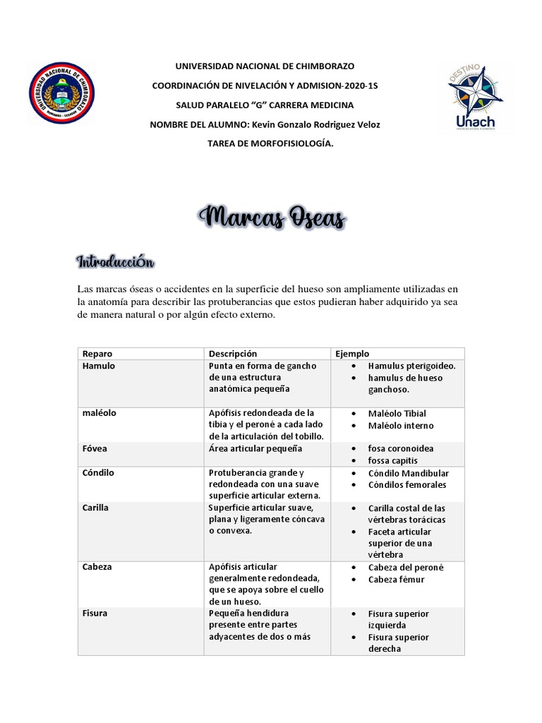 Marcas Oseas | PDF | Sistema musculoesquelético | Sistema esquelético