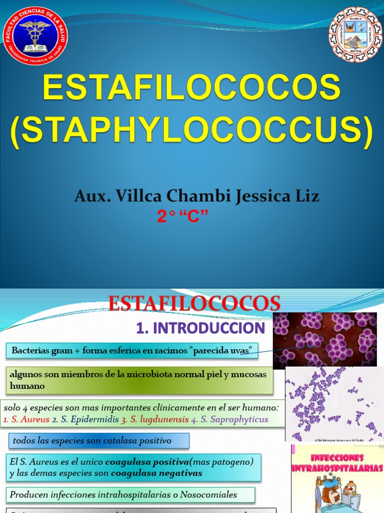 Tema 3 Estafilococos | PDF | Staphylococcus Aureus | Estafilococo