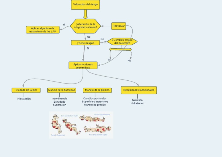 Diagrama de LPP | PDF