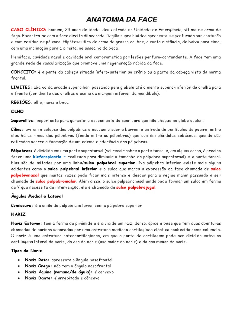 ANATOMIA TOPOGRÁFICA Anatomia Da Face | PDF | Rosto | Anatomia