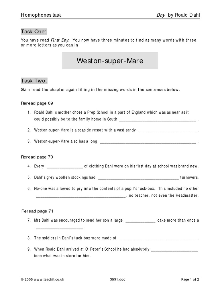 Boy Homophones Activity | PDF | Foreign Language Studies