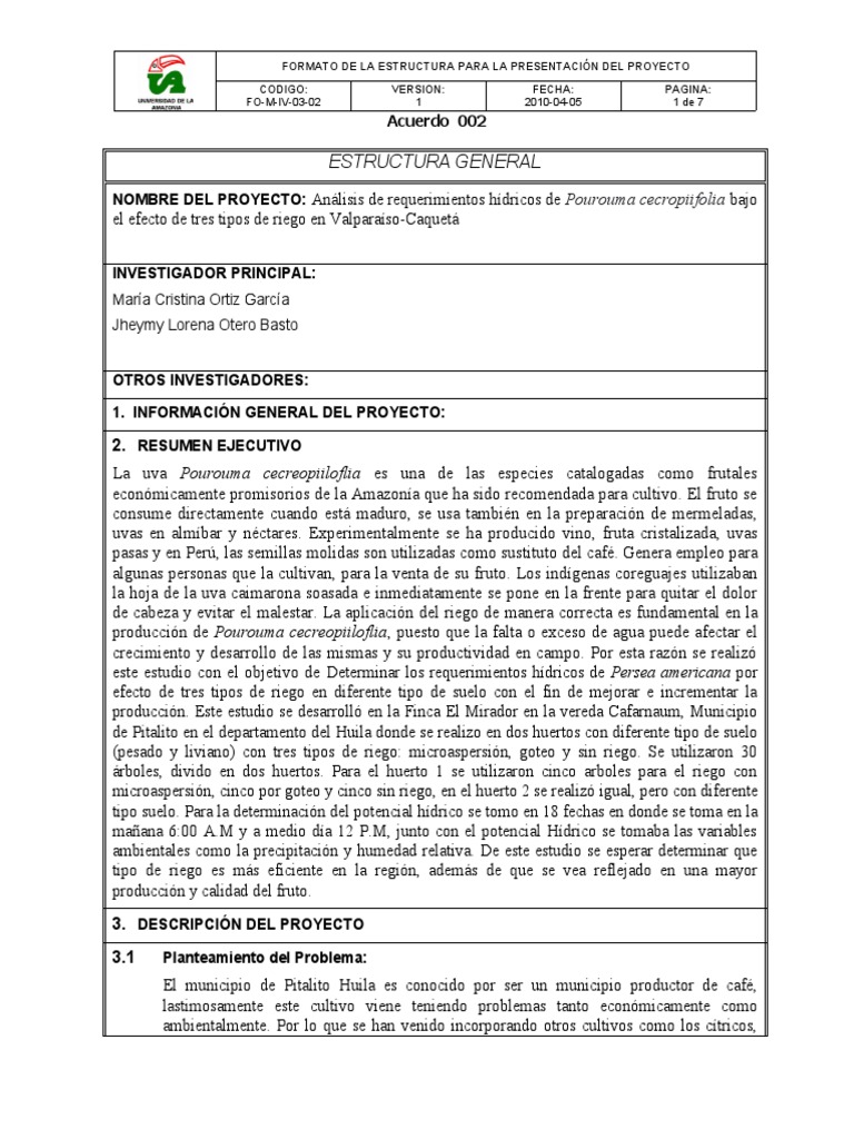 MICROPROYECTO | PDF | Riego | Aguacate