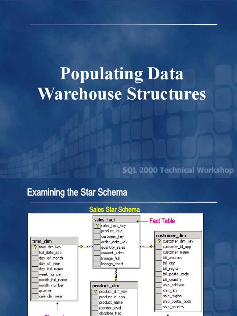 Populating The Data Warehouse Download Free Pdf Computer