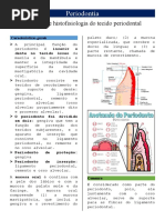 Mapas Mentais Odonto Gratuitos 2r | PDF | Odontologia | Cabeça e ...