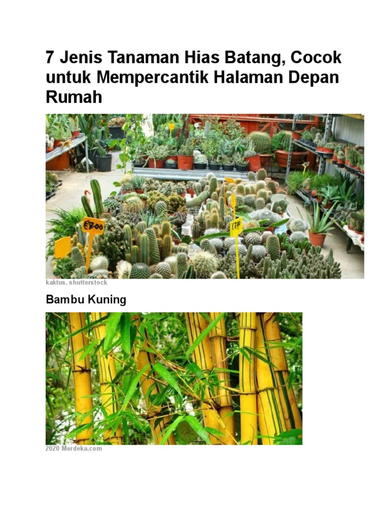 7 Jenis Tanaman Hias Batang | PDF