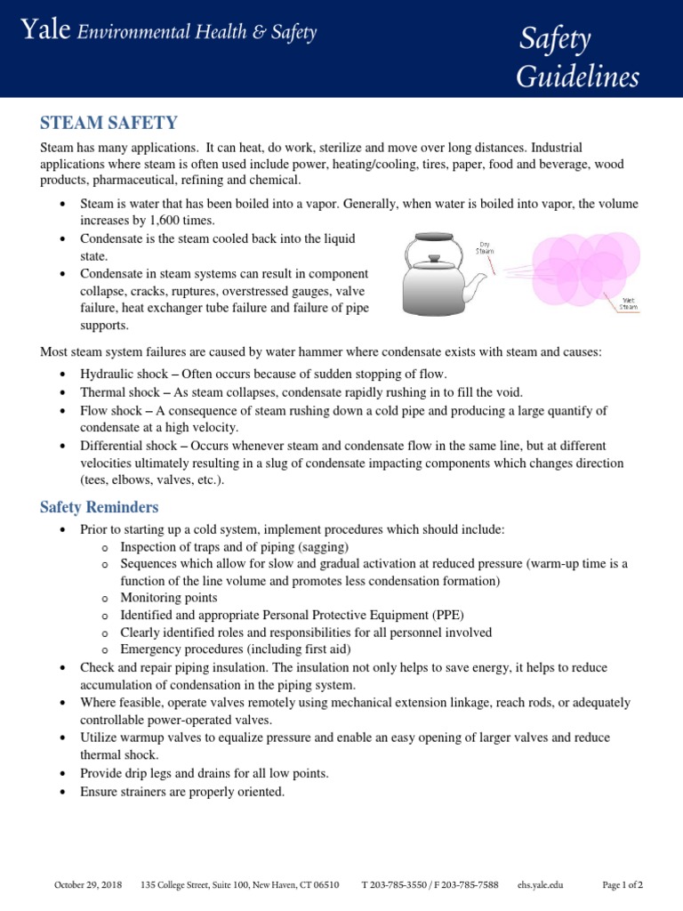 Steam Safety | PDF | Steam | Thermal Insulation