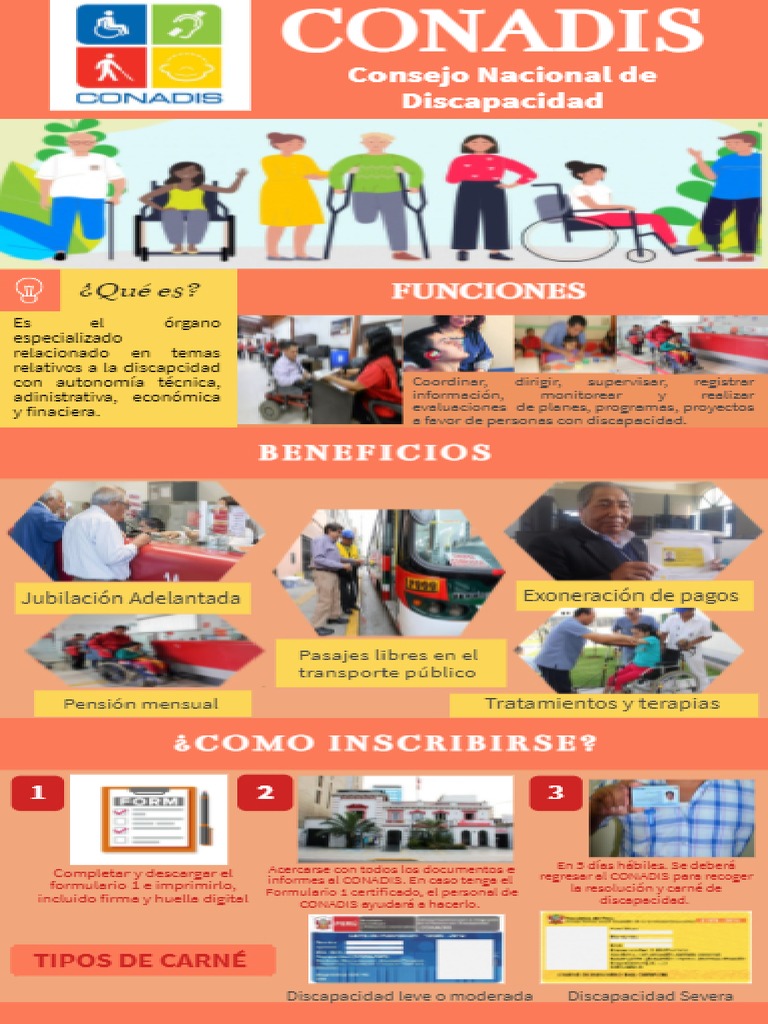 Conadis Infografia | PDF