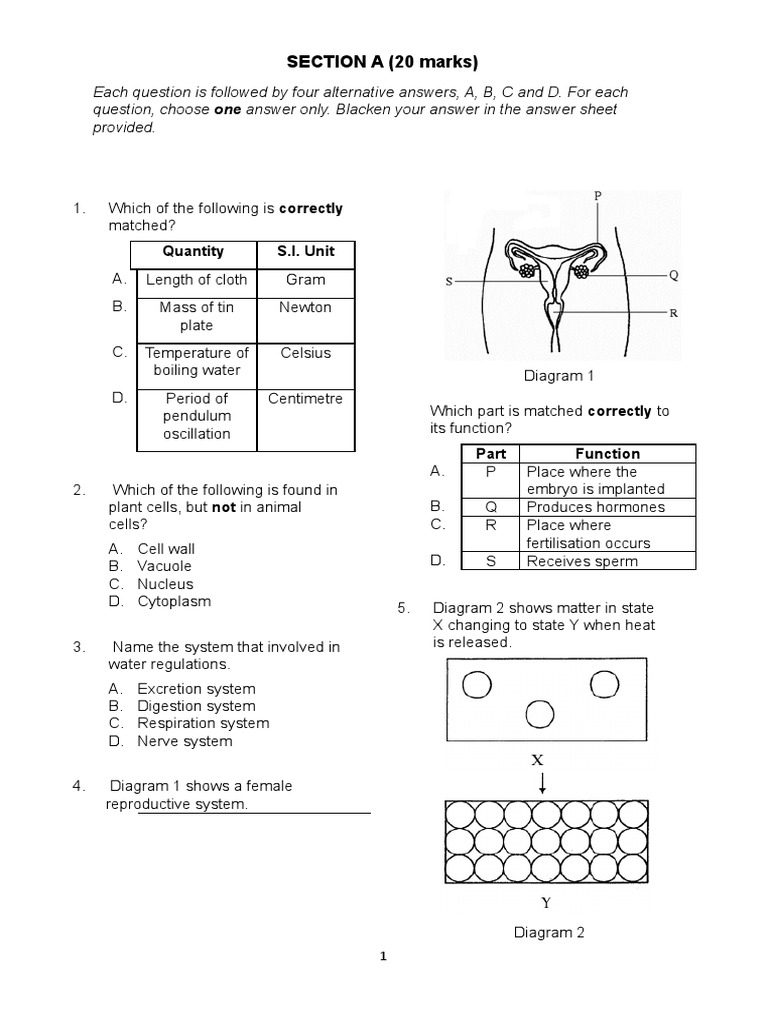 Kertas Model Pt3 Pdf Cigarette Smoking