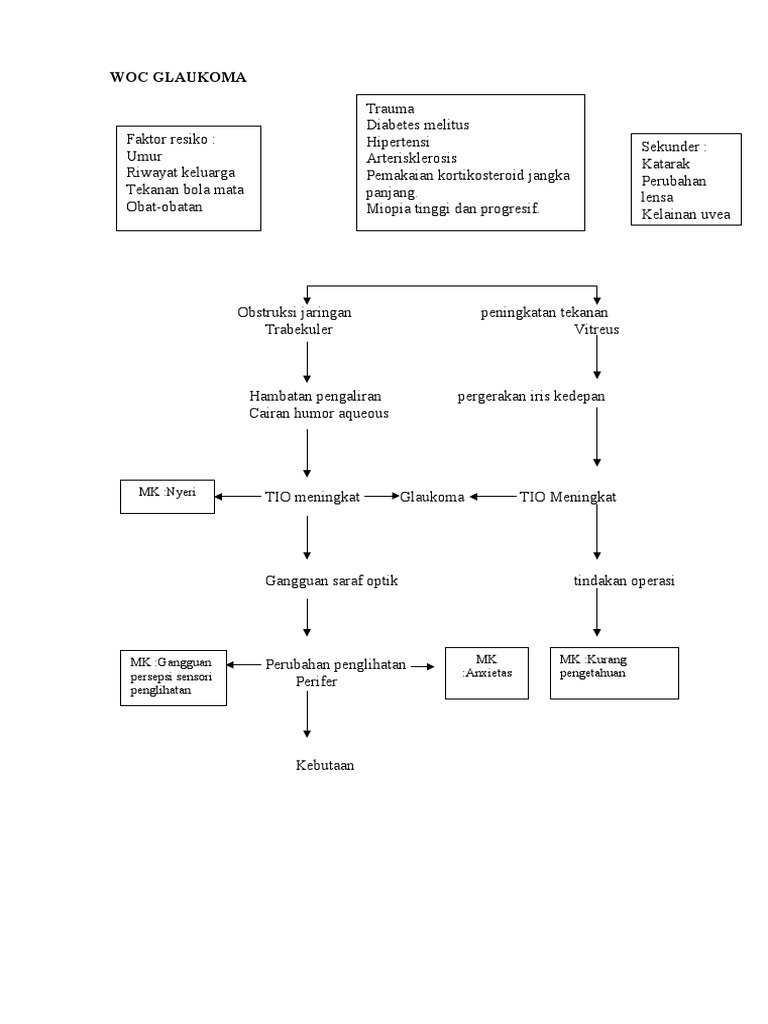 Woc Glaukoma | PDF