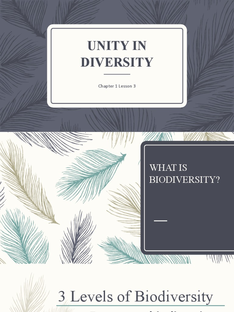 Lesson 3 Unity in Diversity | PDF | Biodiversity | Extinction
