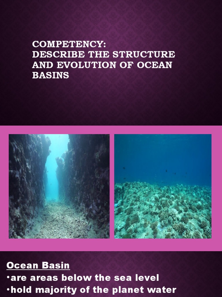 Evolution of The Ocean Basin | PDF | Continental Shelf | Sedimentary Basin