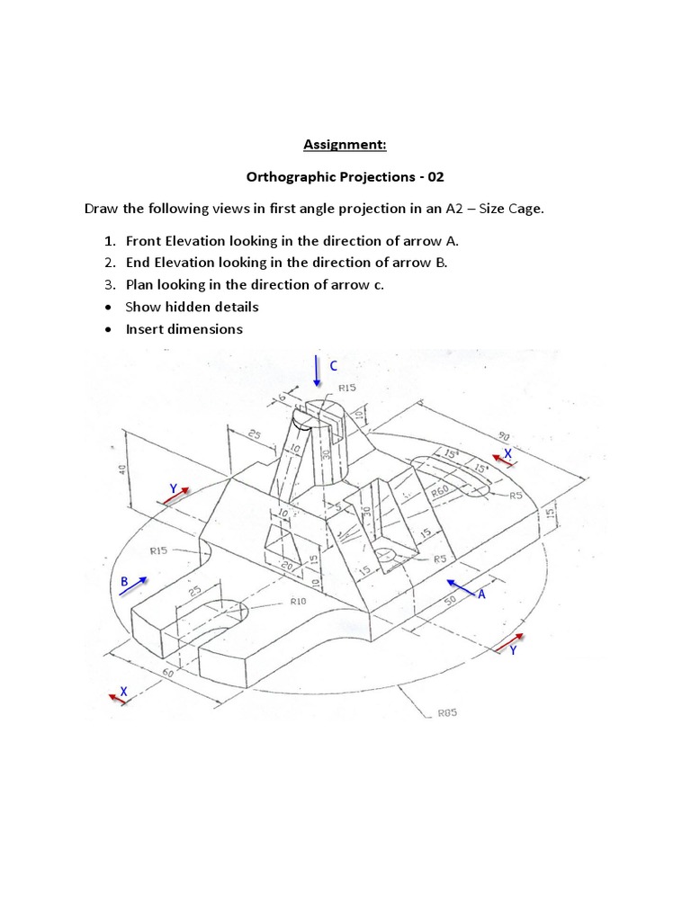 Assignment-Ortho 02 New | PDF