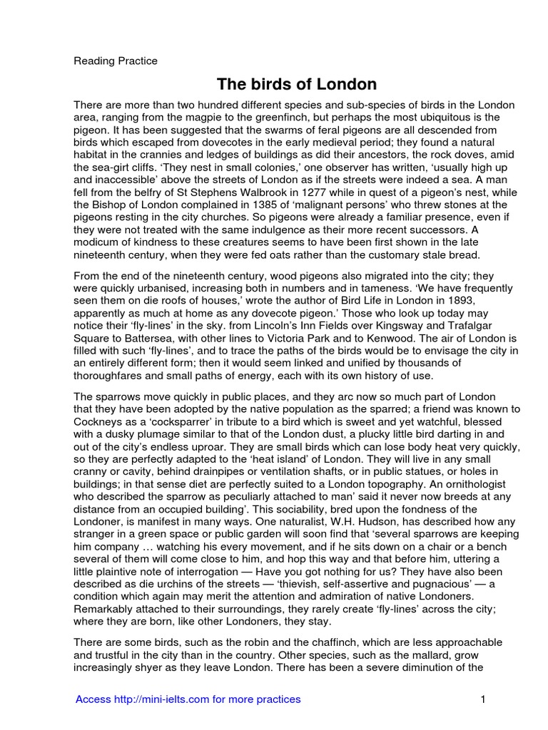 The Birds of London | PDF | Columbidae | Birds