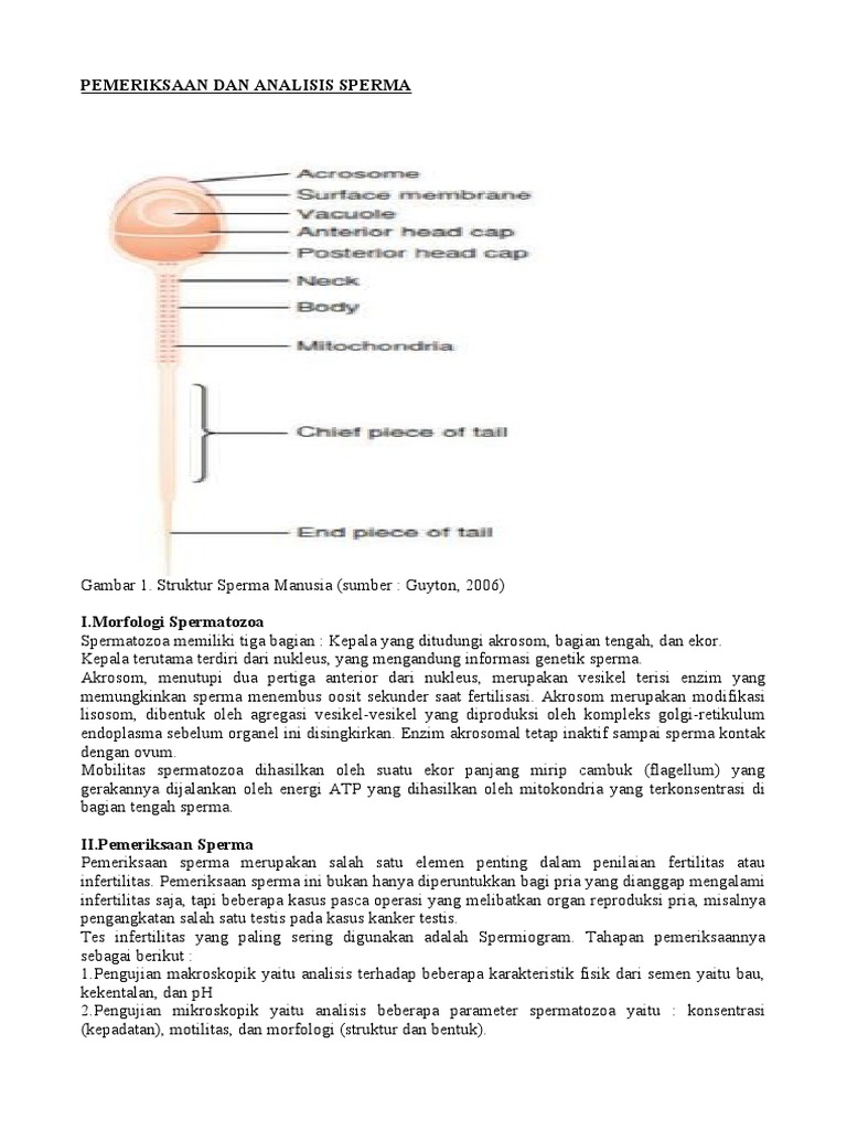 Pemeriksaan Dan Analisis Sperma | PDF