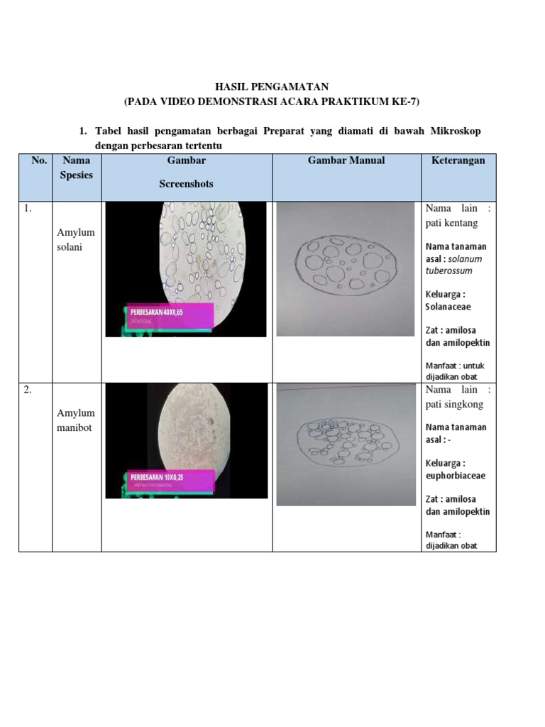 Hasil Pengamatan Mikroskop | PDF