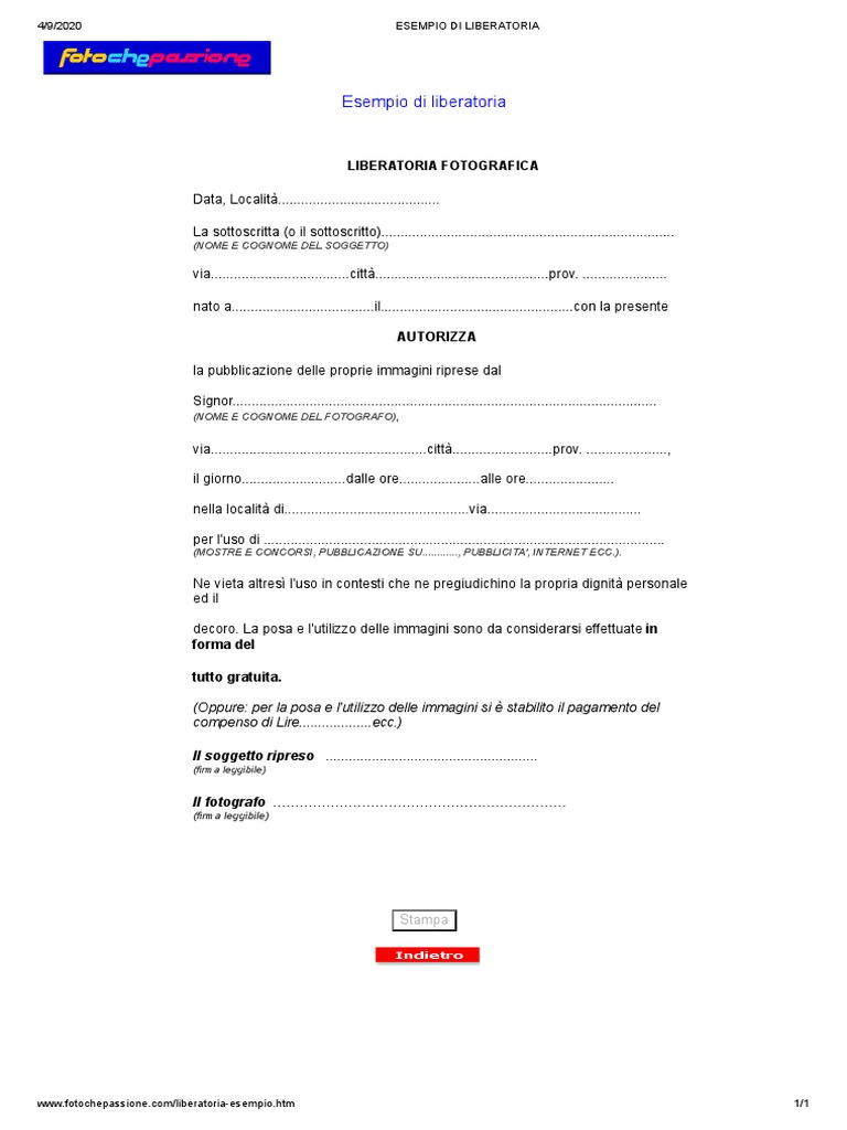 Esempio Di Liberatoria | PDF