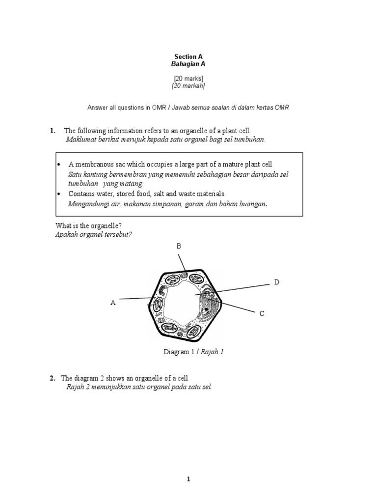 Bio F4 PPT KSSM 2021 | PDF | Osmosis | Tissue (Biology)