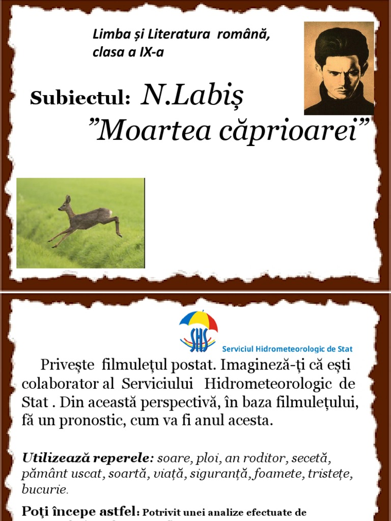 Clasa A IX-A Nicolae Labiș Moartea Căprioarei" | PDF