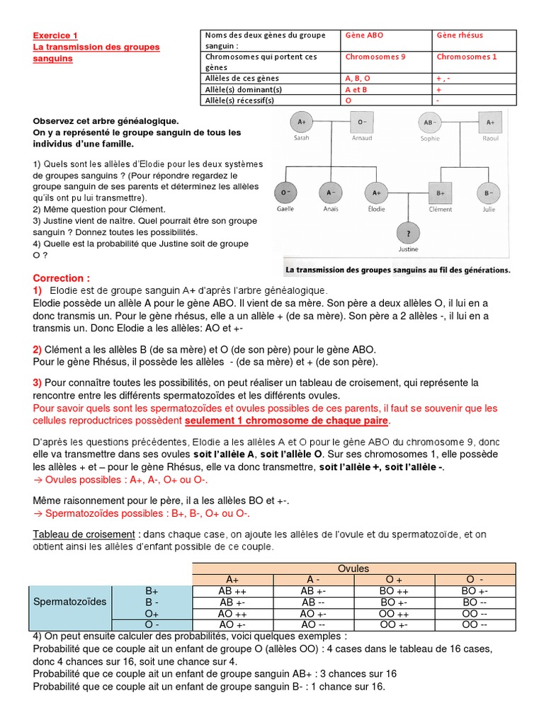 Exercices Corrigés 3eme Génétique 2 | PDF | Allèle | Groupe sanguin